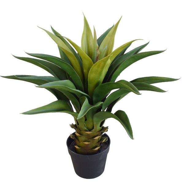 Artificial Agave Plant 60cm – Napoleon Bay